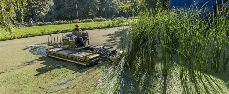 Stinkend water - Delfland