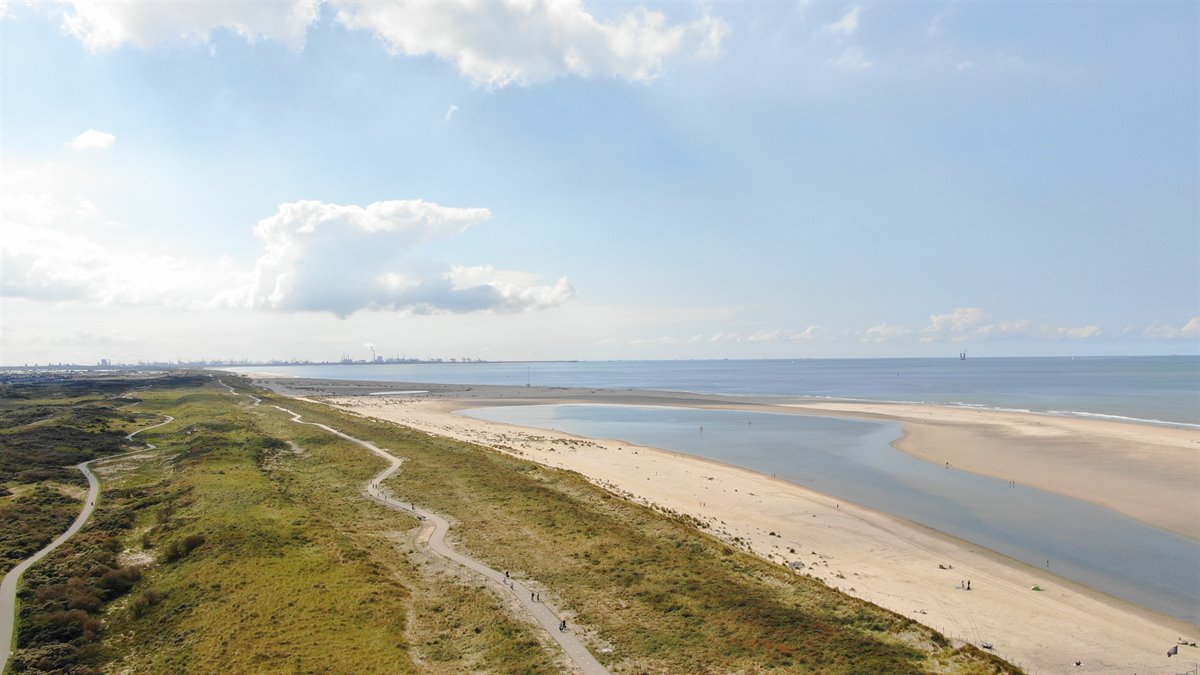 Stevige dijken en duinen - Delfland